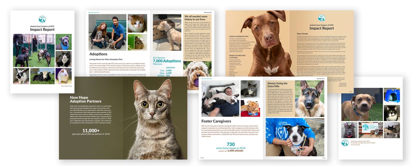 Marketing Collateral Checklist: Brand assets built around an effective ...